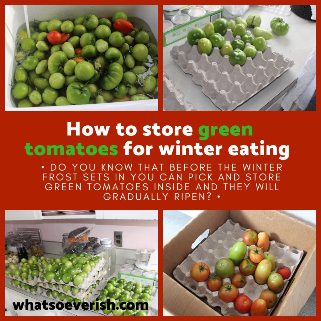 Storing tomatoes | Whatsoever Design